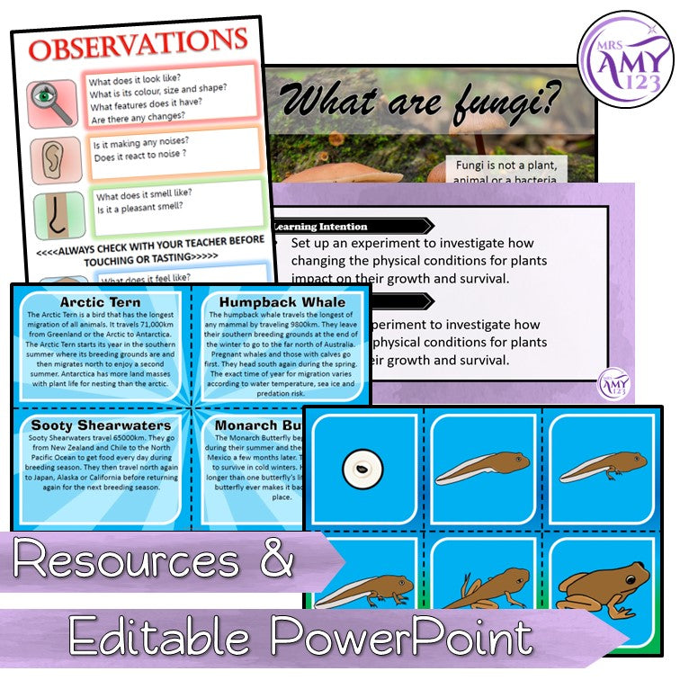 Year 6 Science - Biological Science Unit - Australian Curriculum